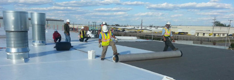 Zylog ElastoComp - Passion For Elastomers